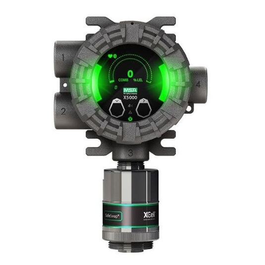 MSA Safety Fixed Gas & Flame Detectors | Rockall Safety