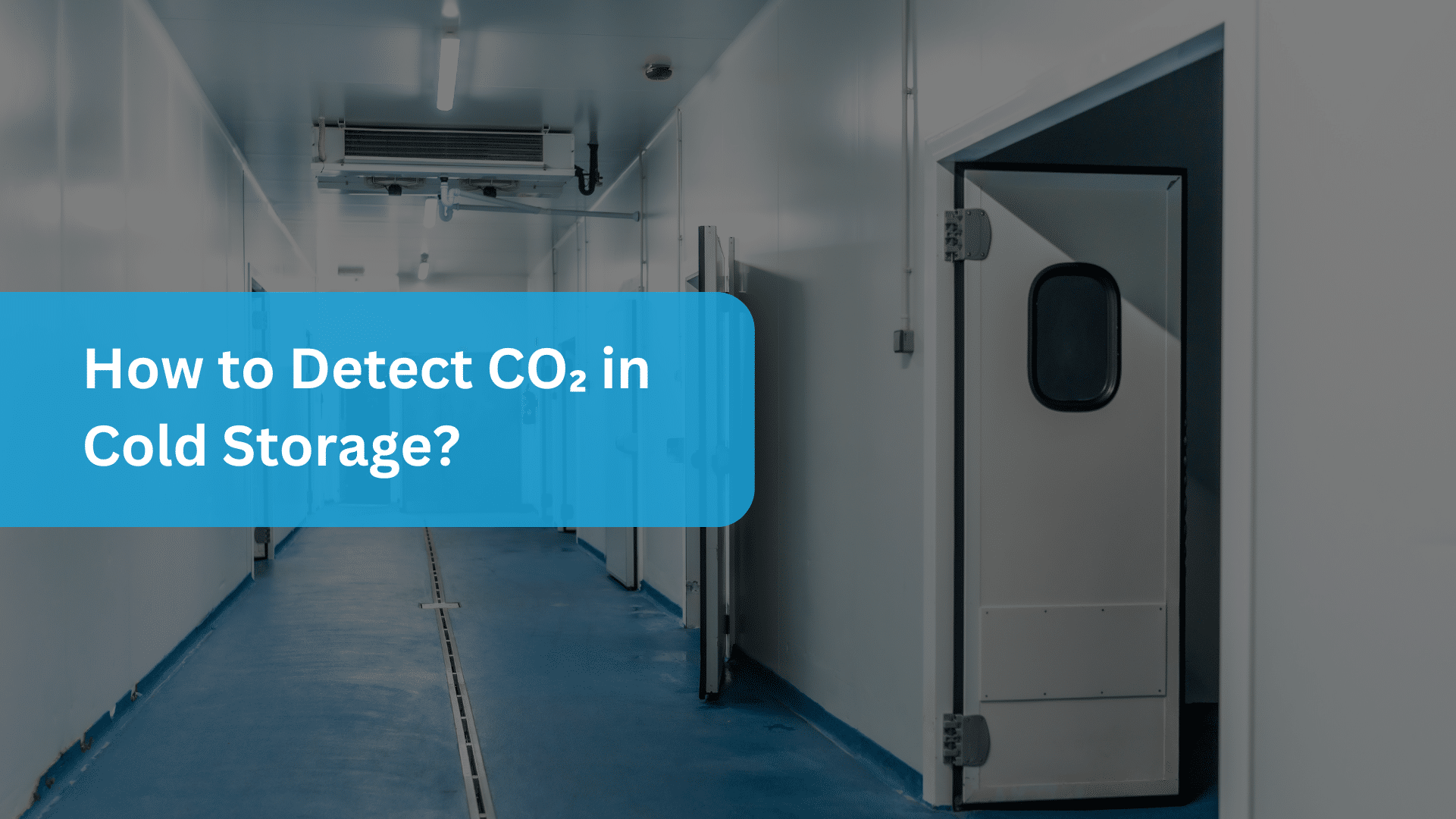 How to Detect CO₂ in Cold Storage